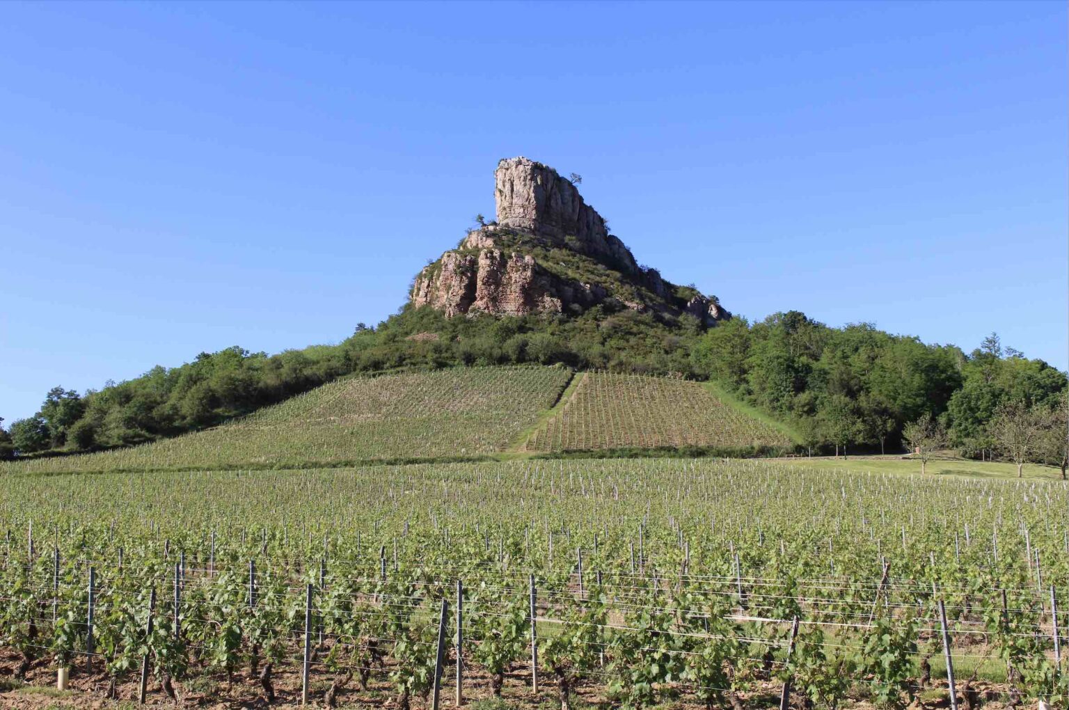 Maison Trenel – Martines Wines